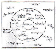 Thinking Maps, Inc. | Thinking Maps Student Examples